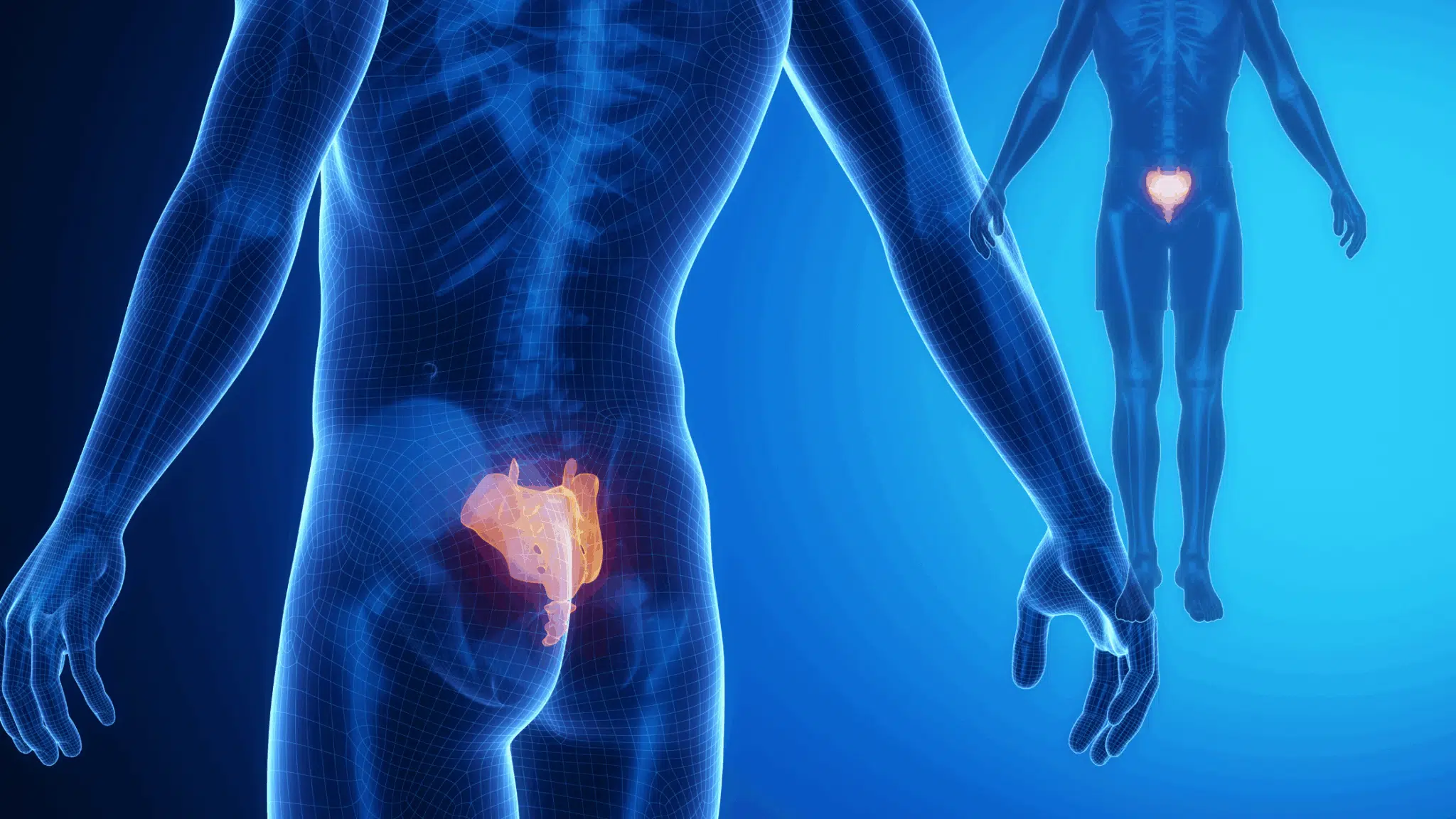 What the SI Joint Actually Does (And Why Everyone Keeps Arguing About ...